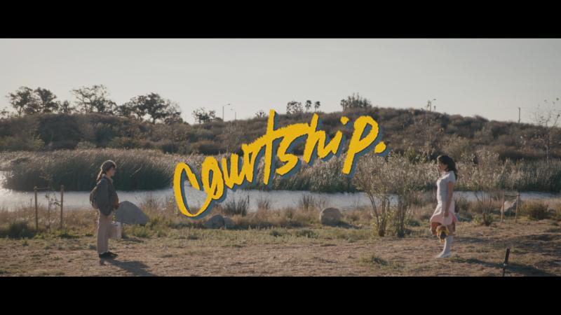 Courtship on tour this spring! – Music Matters Magazine